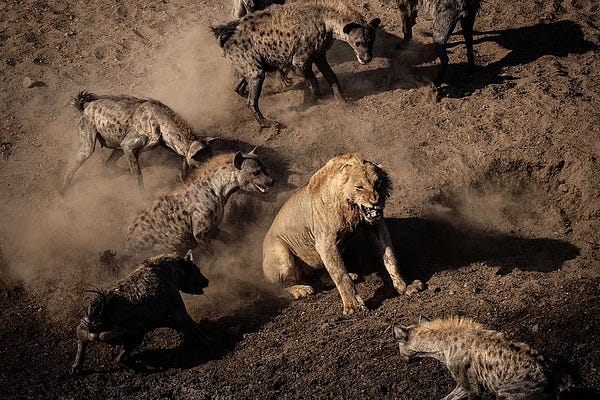 Millennial Woes | Substack