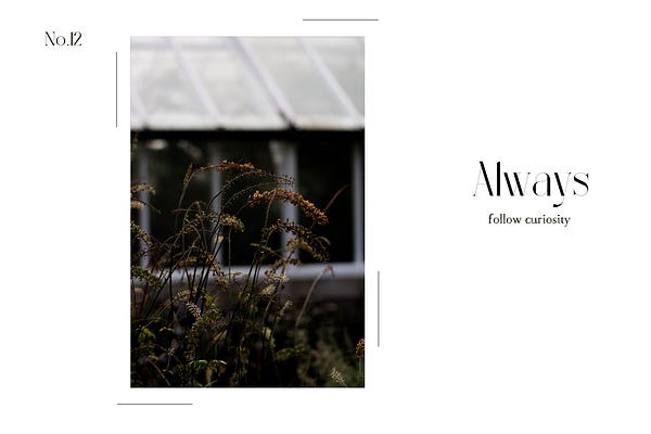 Pollination Garden | Mel Adams | Substack