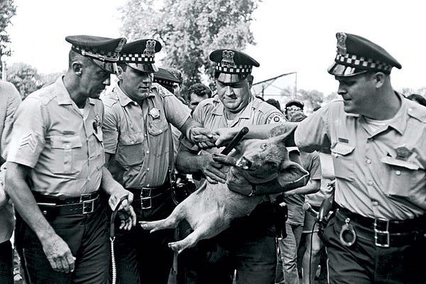 The Preamble | Sharon McMahon | Substack