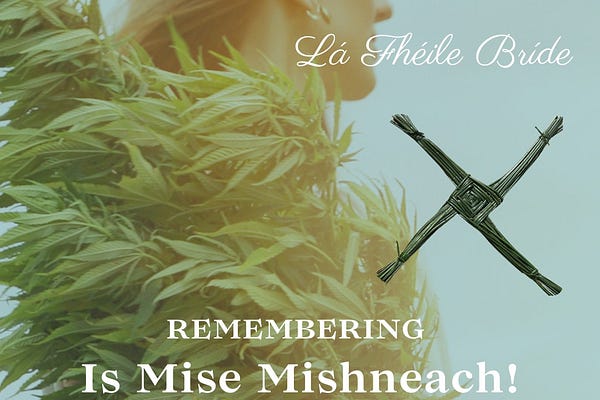 Lorraine’s Substack | Lorraine Flood | Substack