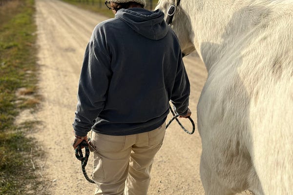 The Privilege to Feel | Stephanie Land | Substack