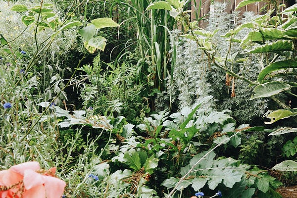 lofi life | Casey Lister | Substack