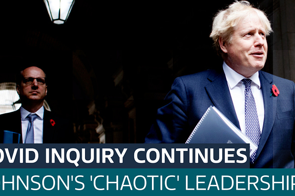 Seeing The Forest for the Trees | Bob Hawkins | Substack