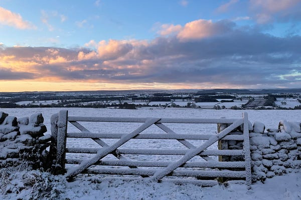 The Mindful Consumer | Cait Flanders | Substack