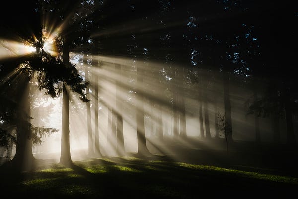 The Art of Flash Fiction | Kathy Fish | Substack