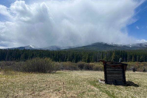 On the Commons | Antonia Malchik | Substack