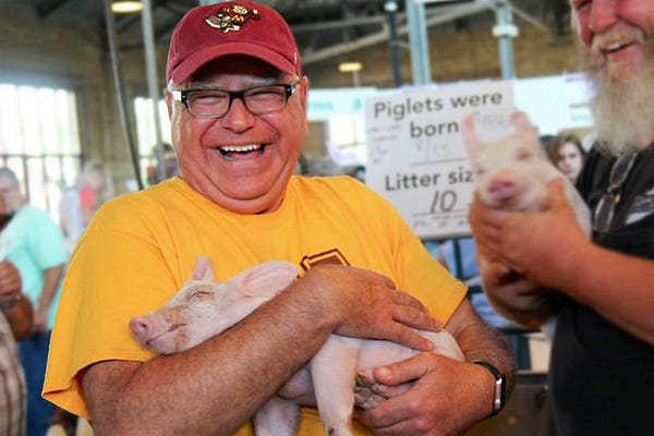 The American Sun | Hank Oslo | Substack