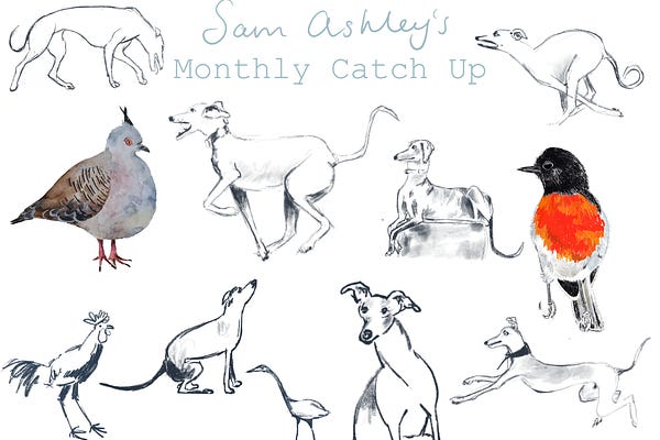 STUDIO DIARIES | Sam Ashley Art | Substack