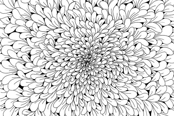 Jenny’s Substack - Let's art together | Jenny Lawson (thebloggess) | Substack