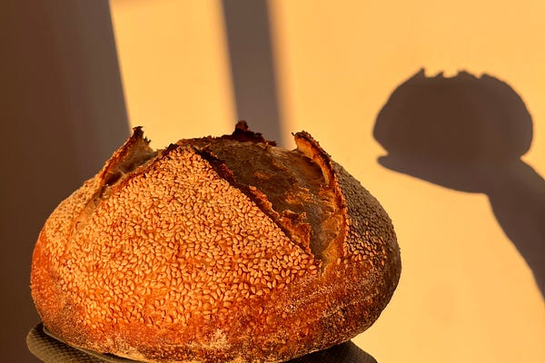 Forklore | Maddy | Substack