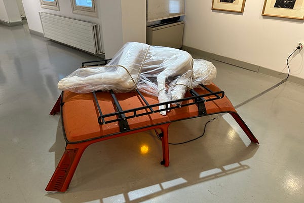 Planet: Critical | Rachel Donald | Substack
