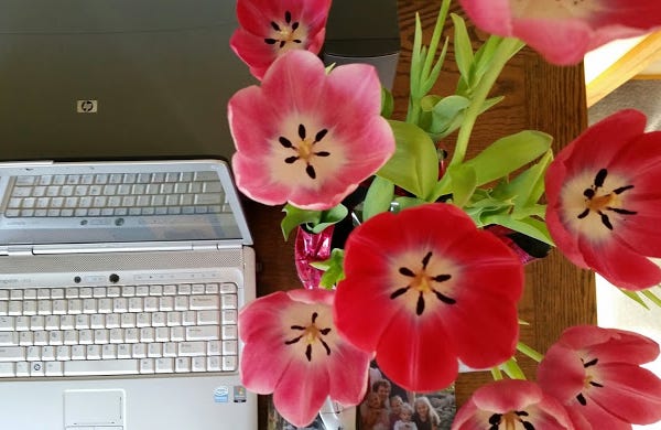 Grace & Space | Linda Stoll | Substack