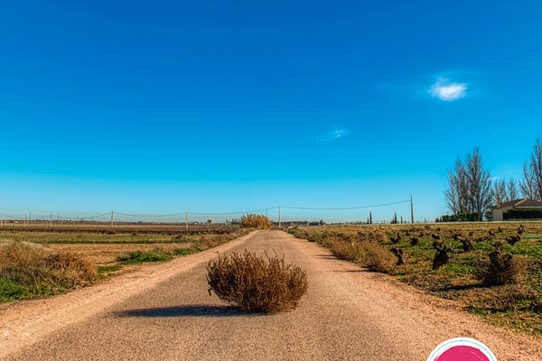 Aurora Lorenzo | Substack