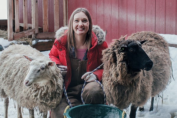 The Elliott Homestead Newsletter | Shaye Elliott | Substack