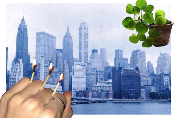 ask a sub | Lina Dune | Substack