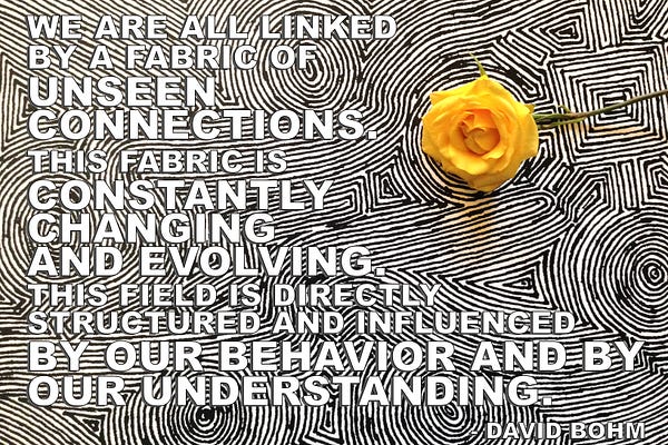 Nothing in the Way | Sunni Brown / Sun Kagami | Substack