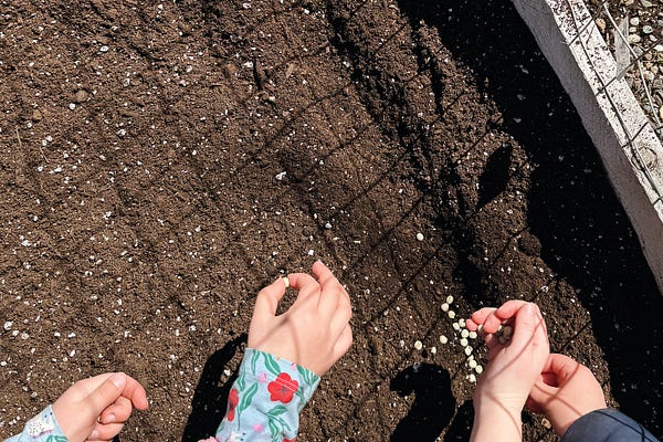 A Common Thread | Jess Kirby | Substack