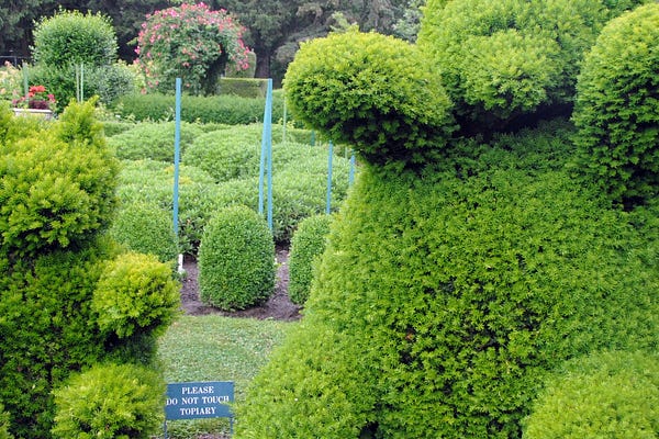 Fly on the Wall with Shrub & Cloudbear | Le Shrub | Substack