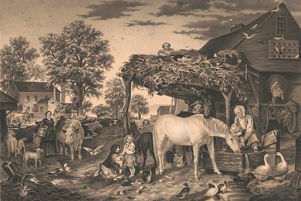 Slowdown Farmstead | Tara | Substack