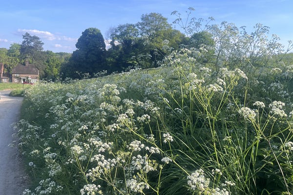 Clover Stroud: On The Way Life Feels | Substack