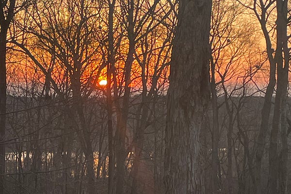 J.F. Riordan; Reflections on a Life in Exile | J. F. Riordan | Substack