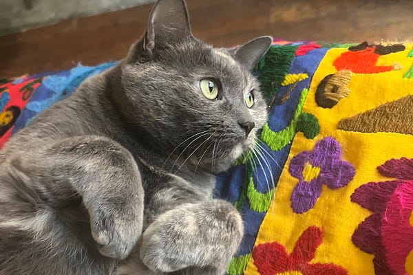 Ann’s Substack | Ann Hood | Substack