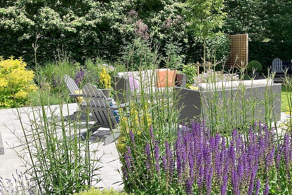 From Seed to Bloom | Camilla Grayley | Substack