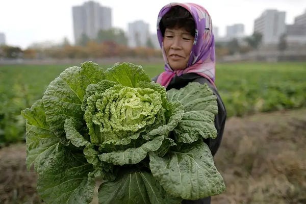 Mr. and Mrs. Psmith’s Bookshelf | Jane Psmith | Substack