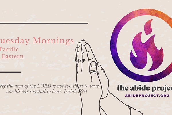 The Abide Project | Substack