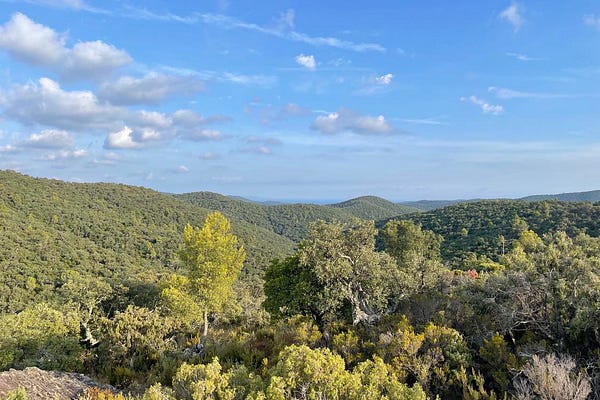 HSKlevel | Pierre | Substack