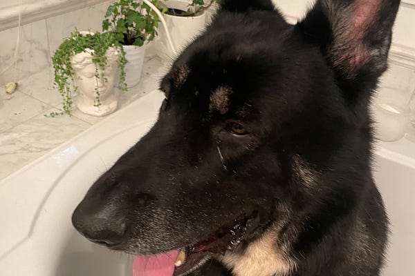 J.F. Riordan; Reflections on a Life in Exile | J. F. Riordan | Substack