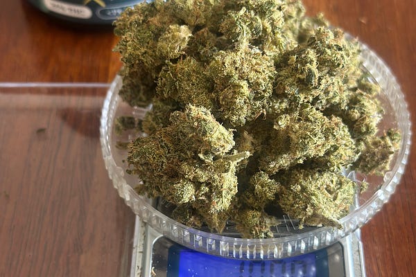 AusCannaReviews’s Substack | Christina Mc Mullan | Substack