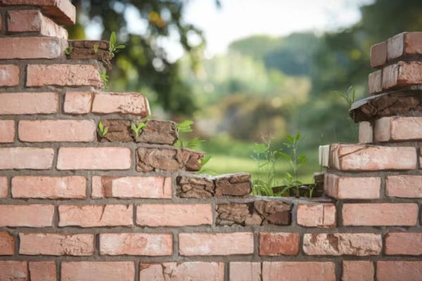 Planet: Critical | Rachel Donald | Substack