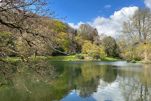 Roland’s Travels | Roland Millward | Substack