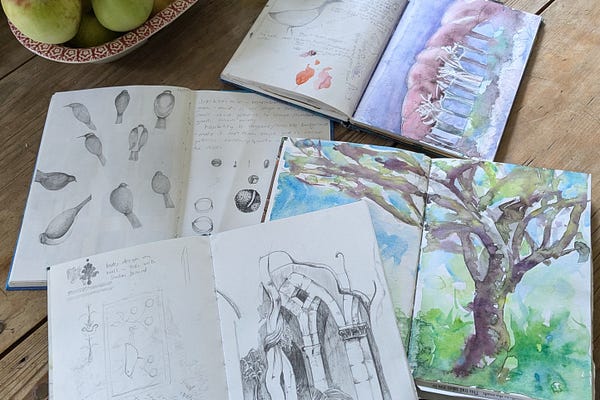 Still Sketching | Deborah Vass | Substack