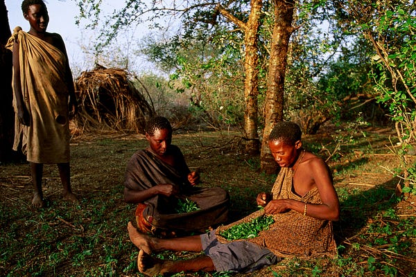 Tu Dosis de Salud Integral | Claudia Zaragoza | Substack