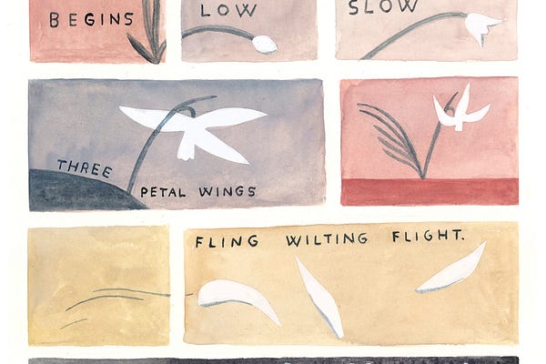 Incidental Comics | Grant Snider | Substack