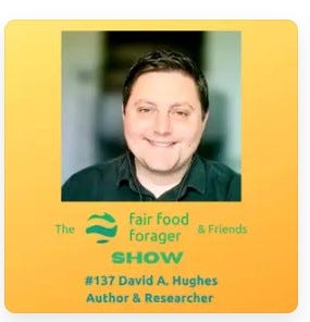 David A. Hughes | Substack