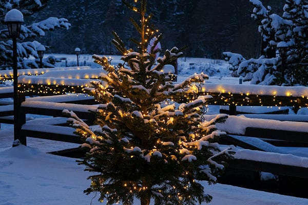 The Half Marathoner | Terrell Johnson | Substack