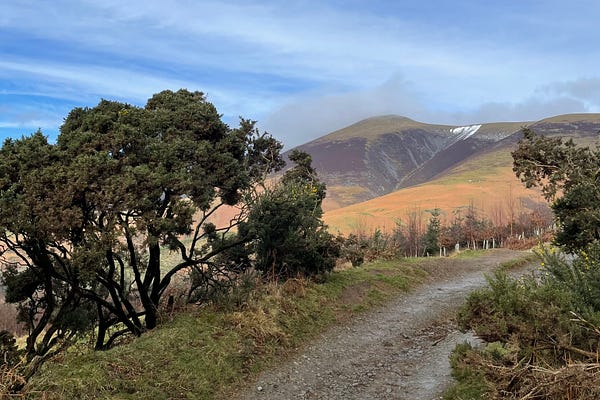 The Mindful Consumer | Cait Flanders | Substack