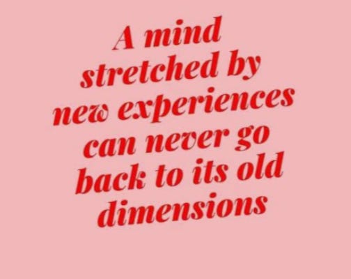 Here’s the Thing | Francie Dorman | Substack