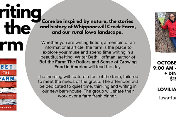 In the Dirt | Beth Hoffman | Substack