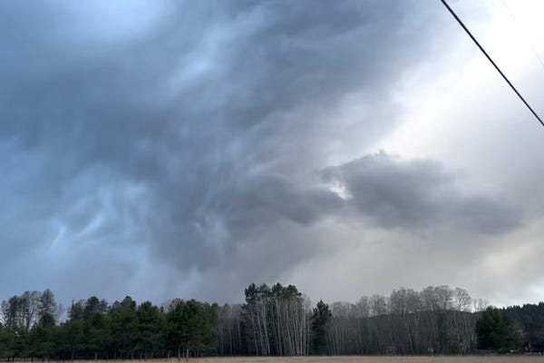 On the Commons | Antonia Malchik | Substack