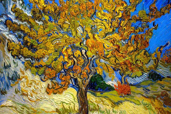 Expressive Egg | Darren Allen | Substack