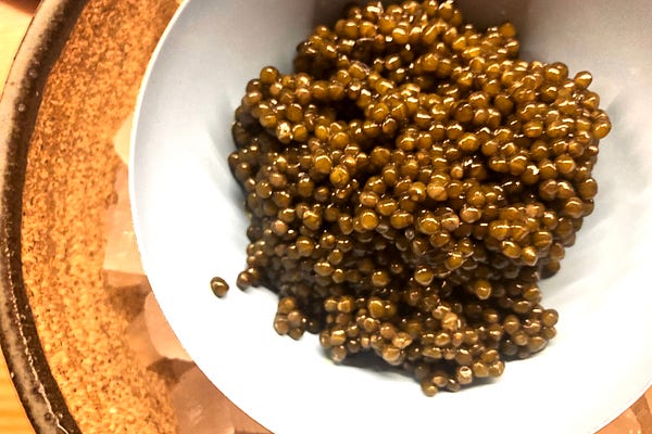 The LO Times | ryan sutton | Substack