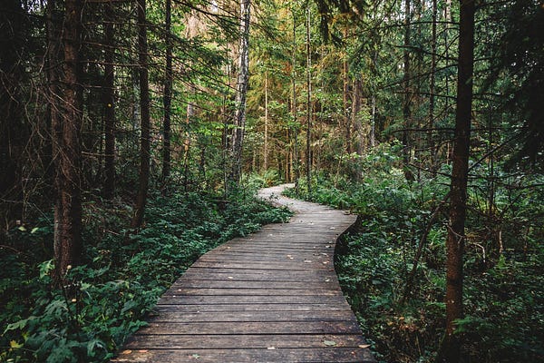 Signos Vitales | Sergio Sosa | Substack