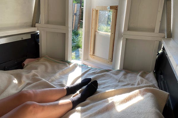 Wild Life with Amy Jay | Substack