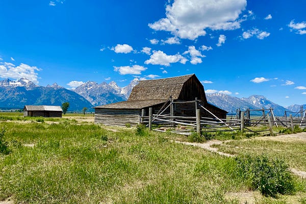 The Half Marathoner | Terrell Johnson | Substack