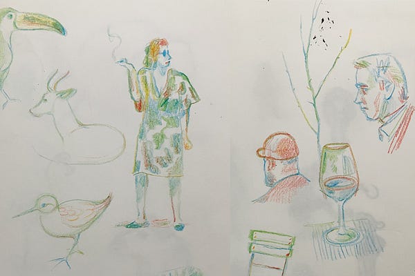 The Accidental Expert | Kyle T Webster | Substack