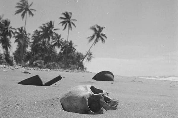 The American Sun | Hank Oslo | Substack